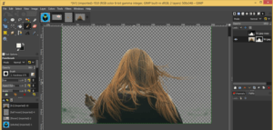 GIMP remove background | Learn How to Remove Background in GIMP?