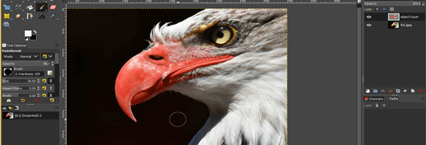 GIMP replace color | Learn How to Replace Color in GIMP?