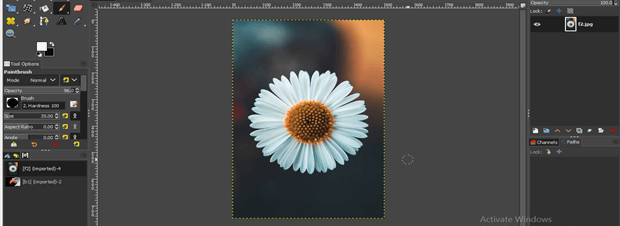 GIMP replace color | Learn How to Replace Color in GIMP?