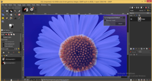 GIMP replace color | Learn How to Replace Color in GIMP?