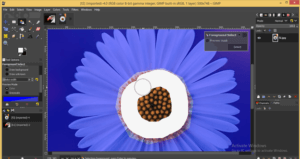 GIMP replace color | Learn How to Replace Color in GIMP?