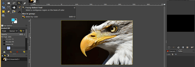 GIMP replace color | Learn How to Replace Color in GIMP?