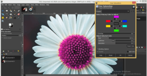 GIMP replace color | Learn How to Replace Color in GIMP?
