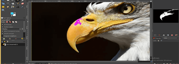 GIMP replace color | Learn How to Replace Color in GIMP?