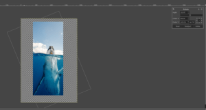 GIMP rotate | Learn how we can perform a rotation in GIMP?