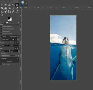 GIMP rotate | Learn how we can perform a rotation in GIMP?