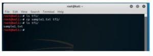 Kali Linux Terminal | Working & uses of commands in Kali Linux Terminal