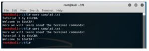 Kali Linux Terminal | Working & uses of commands in Kali Linux Terminal