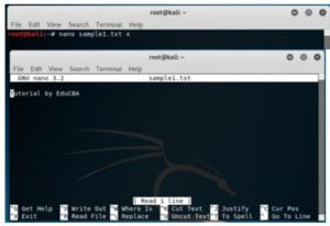 Kali Linux Terminal | Working & uses of commands in Kali Linux Terminal