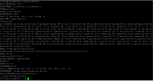 Linux Environment Variables | How to Implement Environment Variables