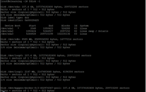 Linux Format | How Linux Format Works with Examples