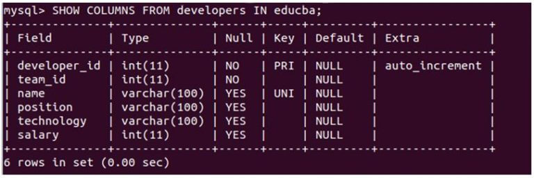 MySQL DESCRIBE table | Different examples of MySQL DESCRIBE table