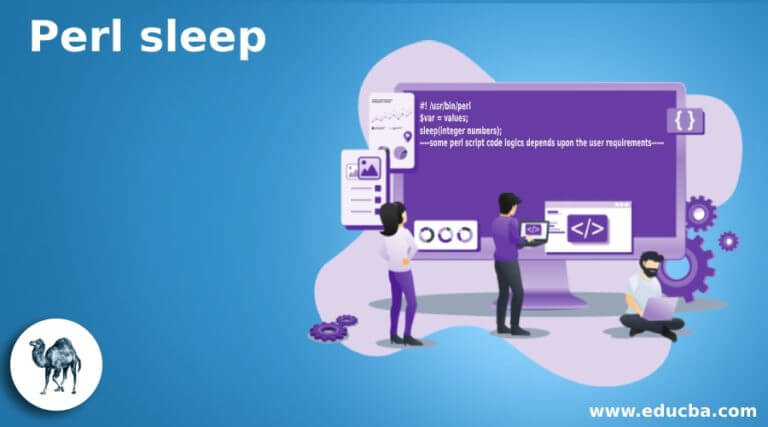 Perl sleep | How sleep Function Work in Perl with Examples