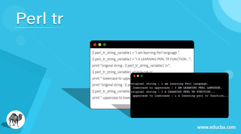 Perl Tr How Tr Function Work In Perl With Examples