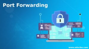 Port Forwarding | Working and different steps to perform Port Forwarding