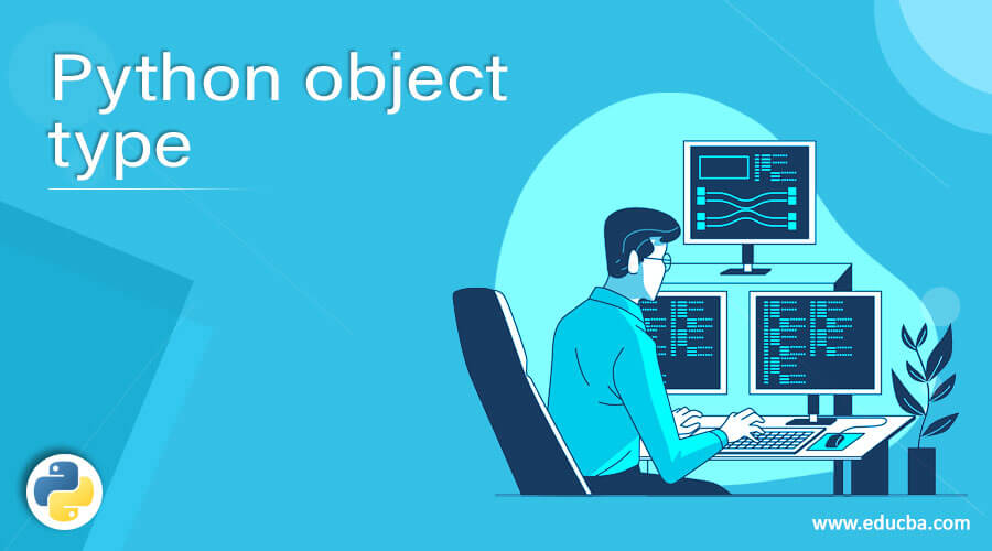 Python Object Type Working And Types Of Python Objects With Example