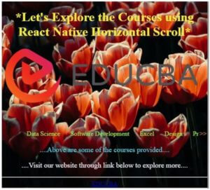 React Native Horizontal Scroll | Examples of React Native Horizontal Scroll