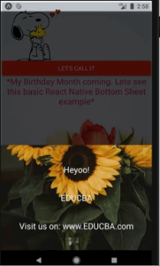 React native bottom sheet | Example of React Native Bottom Sheet
