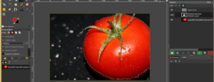 GIMP Floating Selection | How to Perform Floating Selection in GIMP?