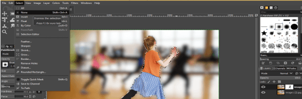 Blur Effect in GIMP | Illustrations to create Blur Effect in GIMP