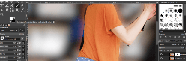 Blur Effect in GIMP | Illustrations to create Blur Effect in GIMP