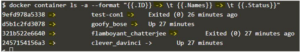 Docker List Containers | List of Various Commands with Examples