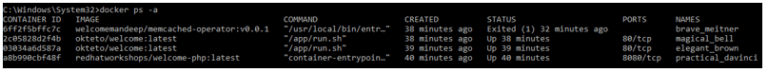 Docker List Containers | List of Various Commands with Examples
