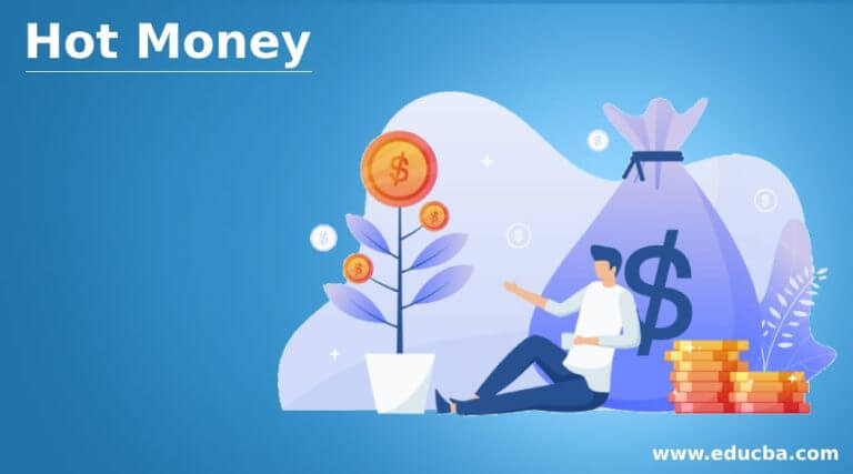 Hot Money | Hot Money Impact on Economy | Uses and Types