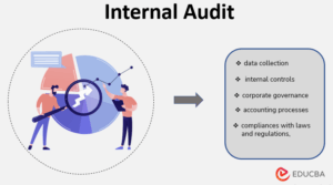 Internal Audit | Types, Process and Objectives of Internal Audit