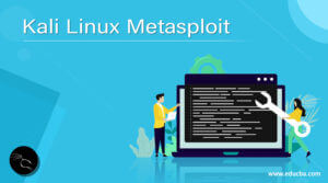 Kali Linux Metasploit | How Kali Linux Metasploit Works?