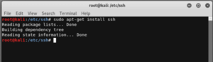 Kali Linux SSH | Learn How does SSH work in Kali Linux?