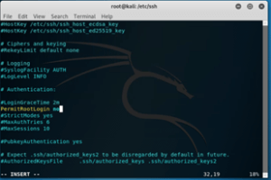 Kali Linux SSH | Learn How does SSH work in Kali Linux?