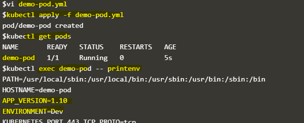 Kubernetes Environment Variables Explanation And Examples 3979