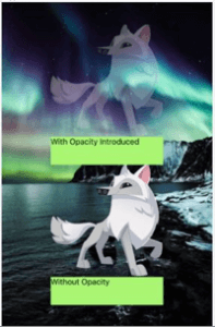 React native opacity | Learn the Examples of React native opacity