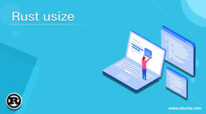 Rust usize | Learn How usize function works in Rust?