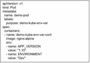 Kubernetes Environment Variables | Explanation and Examples