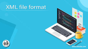 XML file format | Explanation of XML file format in detail with Examples