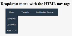Html Nav Element | Learn the Examples of Html Nav Element