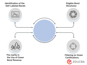 Green Bonds | Benefits and Limitations of Investing in Green Bonds