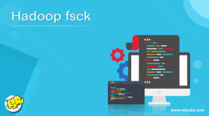 Hadoop fsck | Learn the uncut concept of HDFS fsck