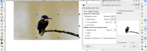 Inkscape trace bitmap | Learn How to trace Bitmap in Inkscape?
