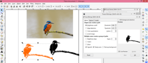 Inkscape trace bitmap | Learn How to trace Bitmap in Inkscape?
