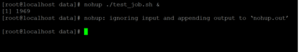 Linux Nohup | Examples to Implement Linux Nohup Command
