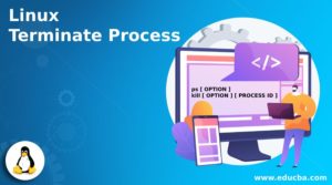 Linux Terminate Process | How Linux Terminate Process Works?