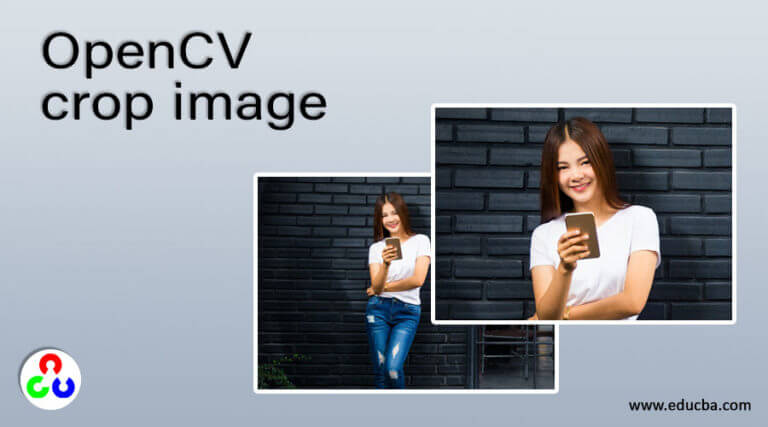 Opencv Crop Image How Does Opencv Crop Image Works Examples