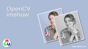 OpenCV imshow | Learn the concept of imshow() function in OpenCV
