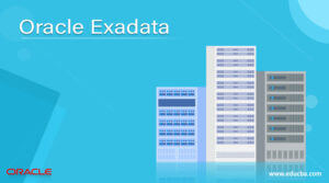 Oracle Exadata | Learn How does Oracle Exadata work?