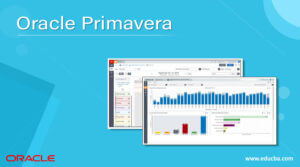 Oracle Primavera | Complete Guide on Oracle Primavera in detail