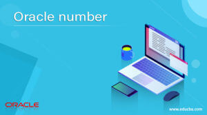 Oracle number | Learn the different examples of Oracle number