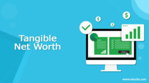 Tangible Net Worth | Uses and Example of Tangible Net Worth
